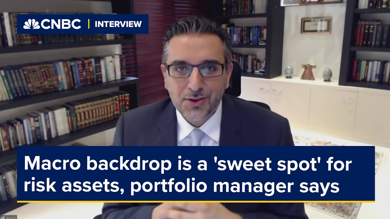 Macro backdrop is a 'sweet spot' for risk assets, portfolio manager ...