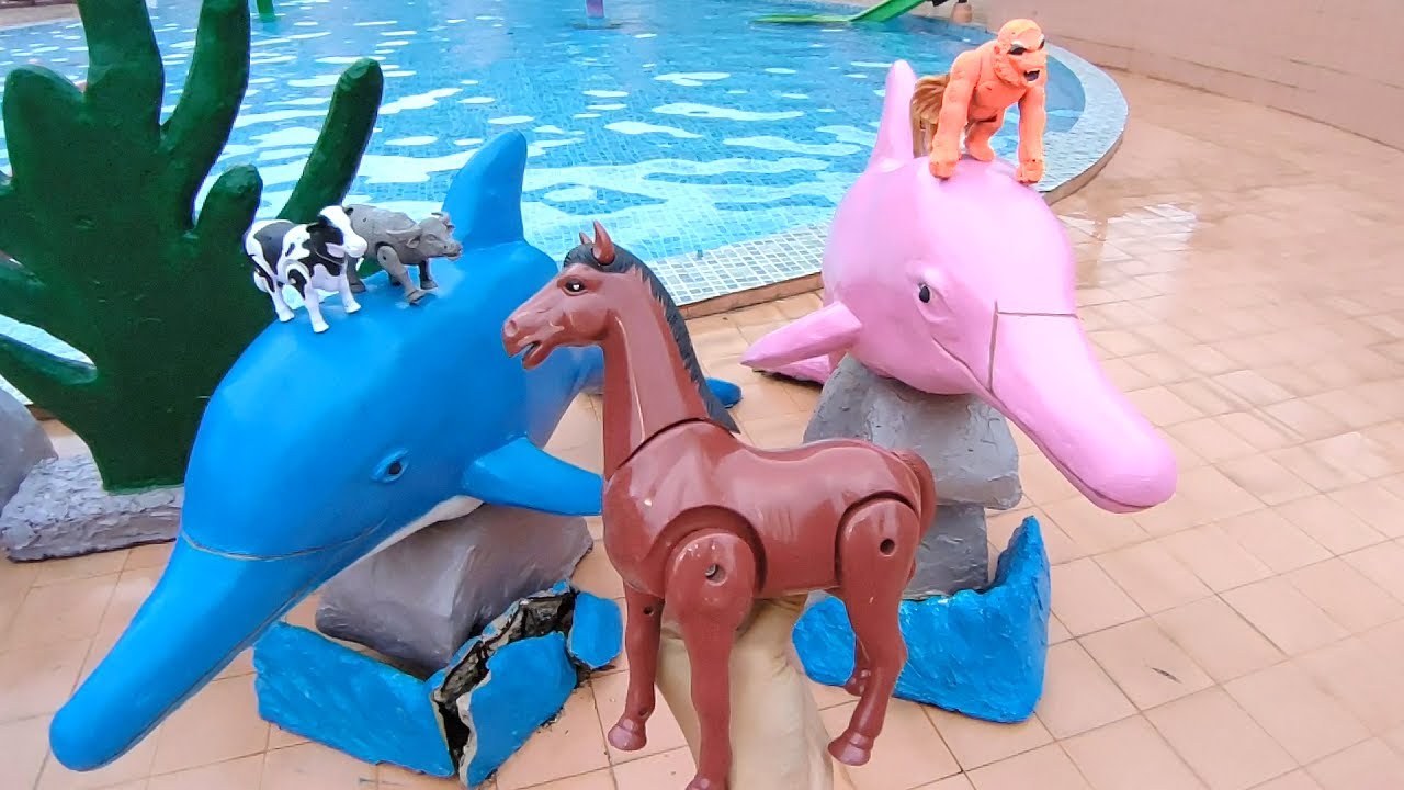 Cow buffalo ride dolphin ปลาโลมาอยู่ที่ริมสระ เจ้าคิงคอง ควาย วัว ช้าง ...