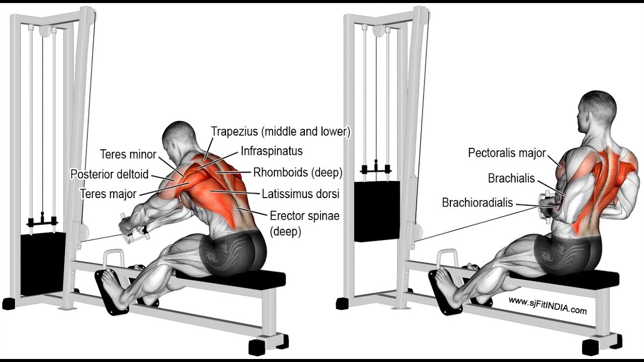 BACK WORKOUT WITH SEATED PULLEY - ROWS / MIDDLE BACK WORKOUT - YouTube