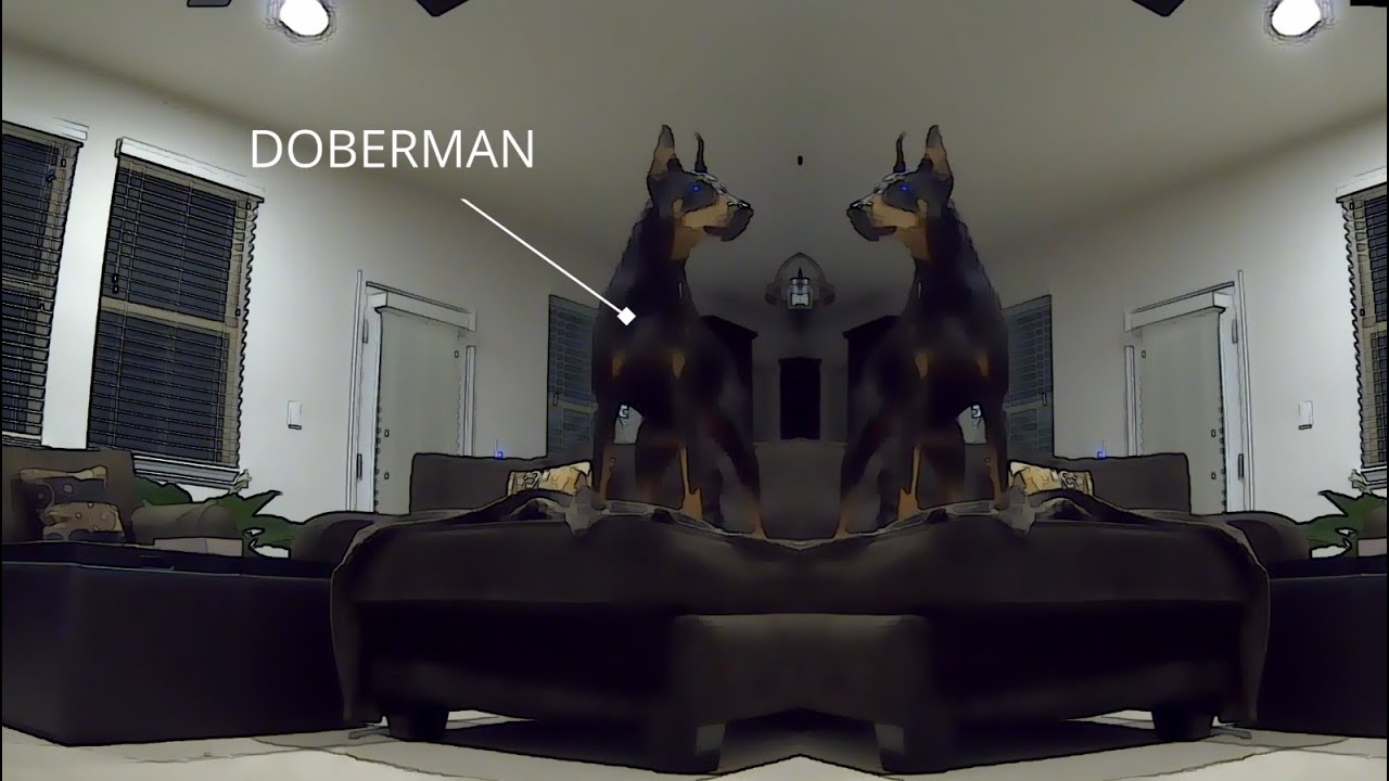 The Ultimate Security System - YouTube