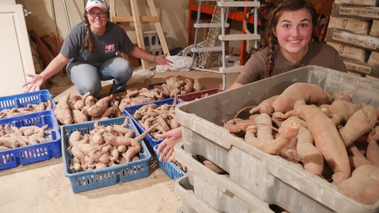 Our LARGEST Garden Harvest EVER - YouTube