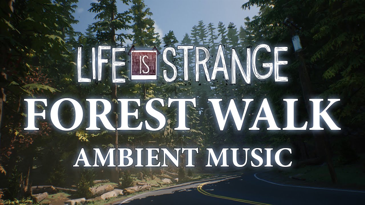 Life Is Strange Ambient Music | Forest Walk - Relaxing, Sleeping ...