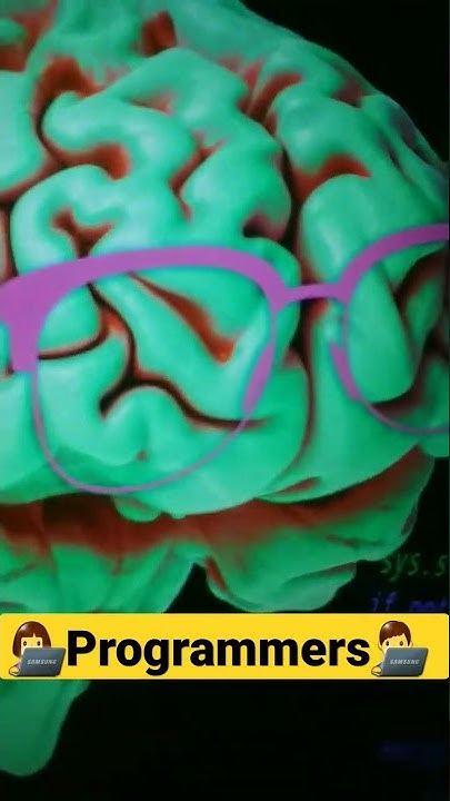 Programmers Life Status | Developers Life | Cs students | Software Engineer Status #shorts # ...