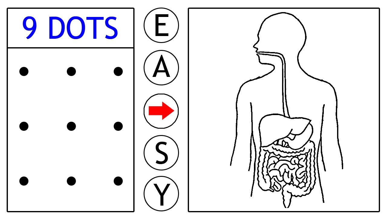 Dots into Human Digestive system drawing easy class 10 - How to draw ...