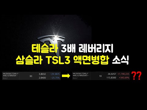 TSL3 삼슬라 209대1로 액면병합 소식. 테슬라 3배 레버리지 액면병합 - YouTube
