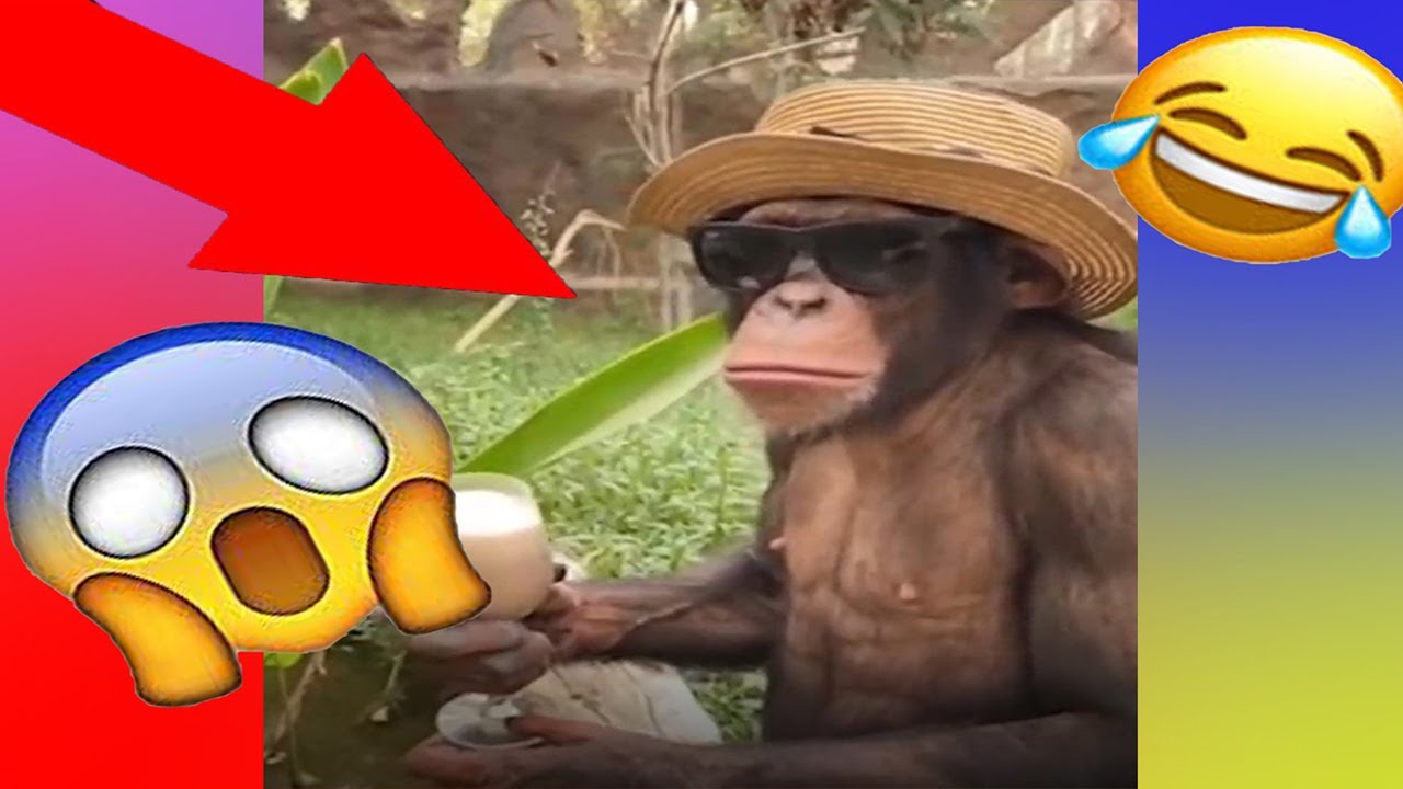 Bumbo's Meme Compilations V2 - YouTube