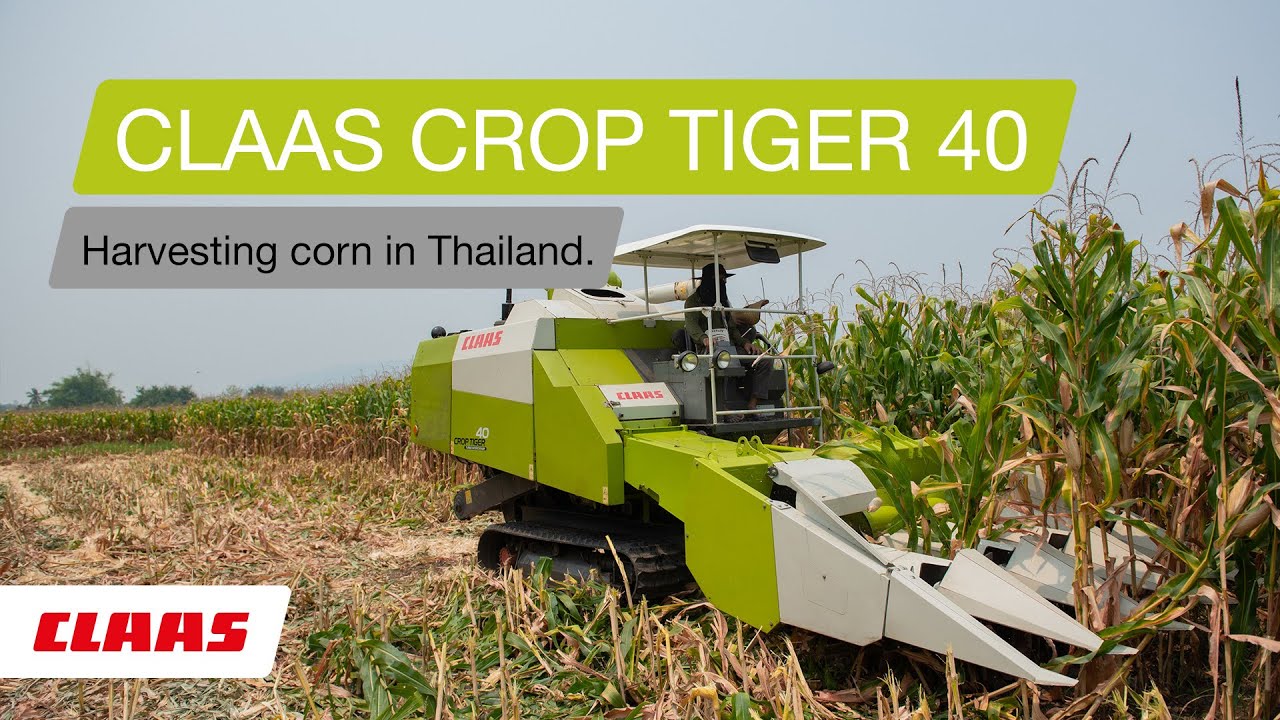 CLAAS CROP TIGER 40 harvesting corn in Thailand. - YouTube