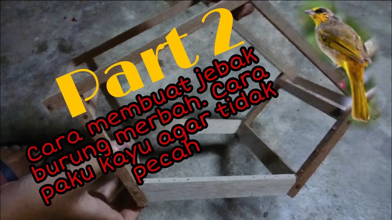 PART 2 | Cara cara membuat jebak burung merbah | Cara paku kayu supaya ...
