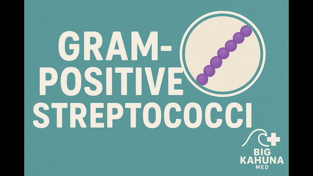 Gram Positive Strep | USMLE | Microbiology - YouTube