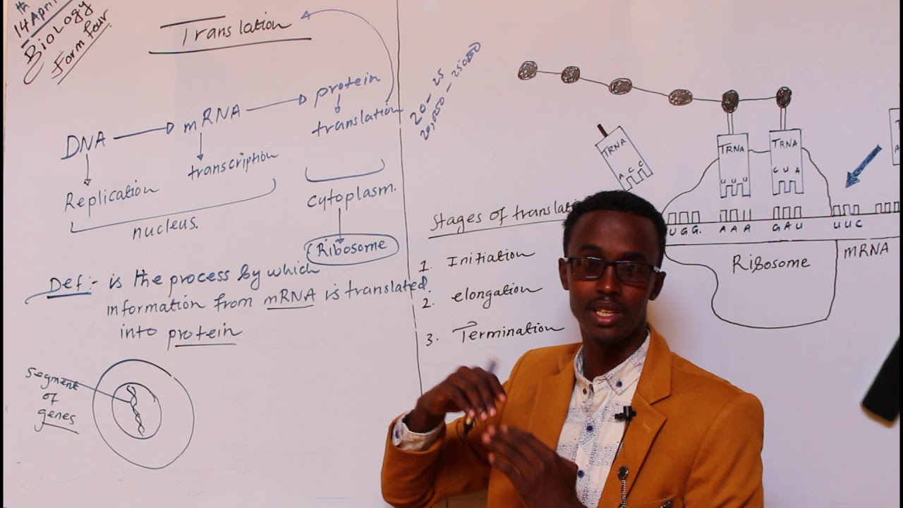 BIO FORM 4// LESSON 3 (PART 1) BY ABDIHAKIM - YouTube