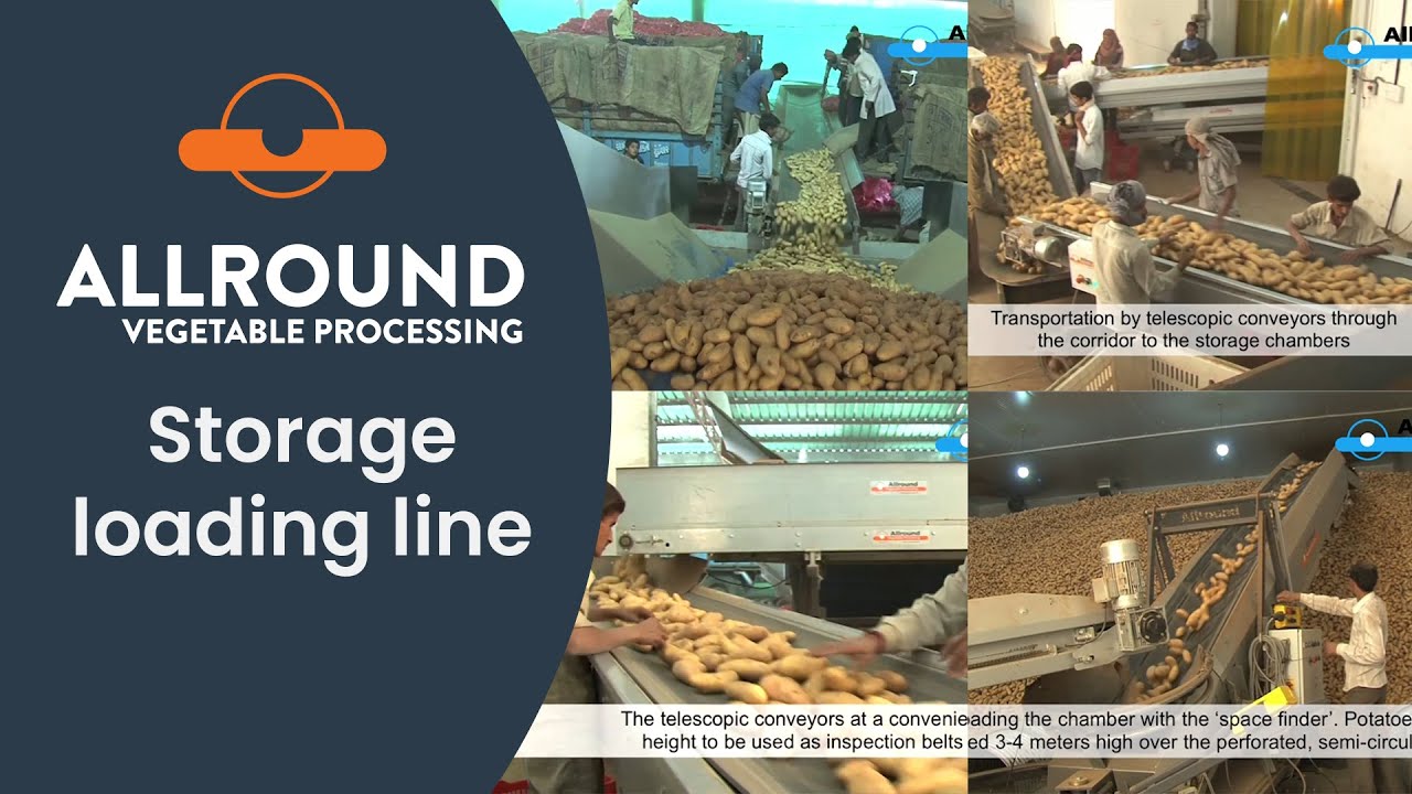 Storage loading line | Allround Vegetable Processing - YouTube