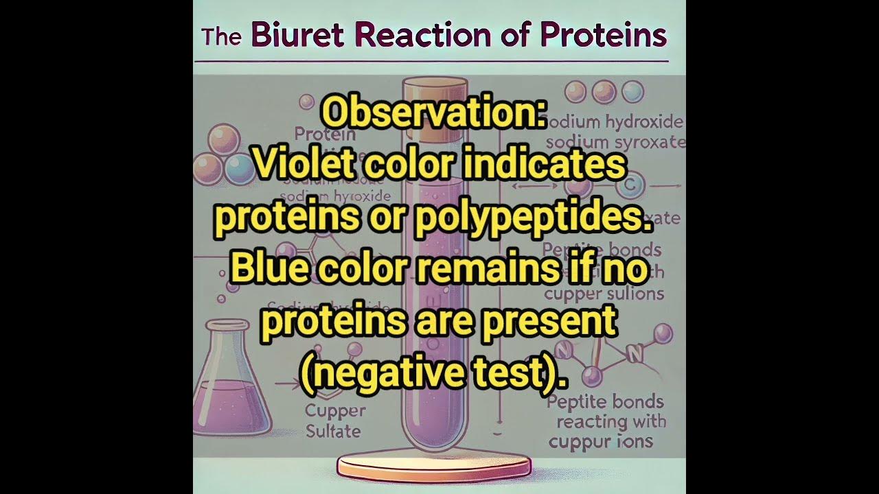#Biuret Reaction, Principle, Procedure# YouTube Shorts# - YouTube