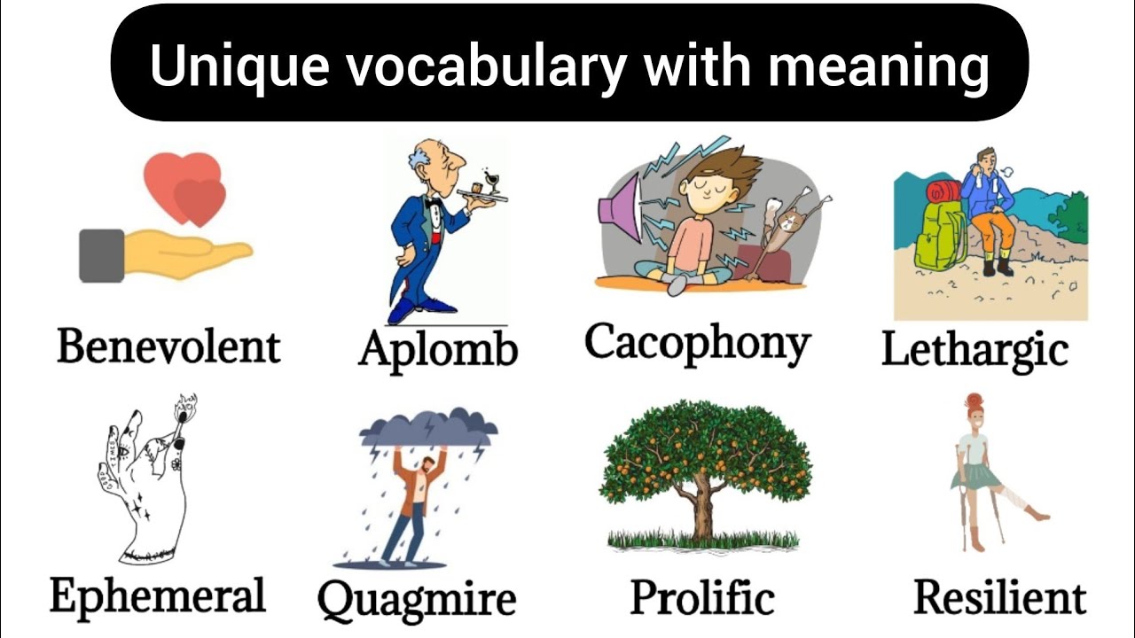 Vocabulary With Sentence || Learn English Step Wise || Daily Use ...