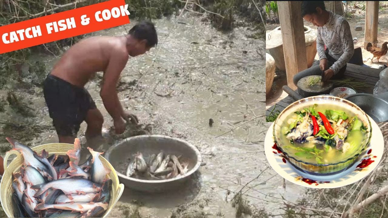 CATCH FISH FROM LAKE AND MAKE COOK IN COUNTRYSIDE | CATCH FISH AND COOK ...