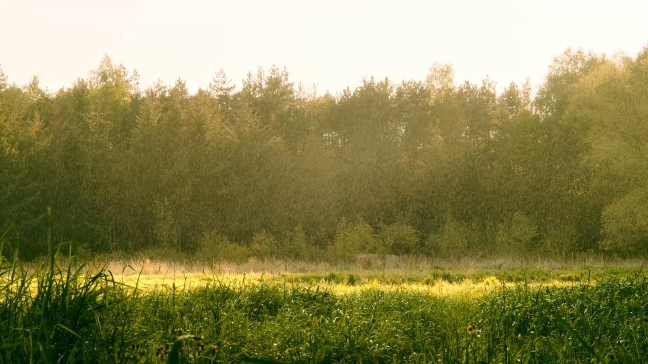 Comfortable rain sounds that help you sleep deeply | Beautiful natural ...