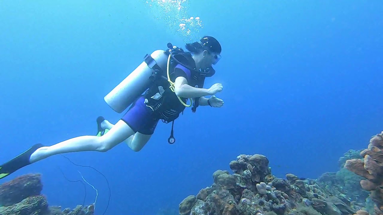 Let's go diving - YouTube