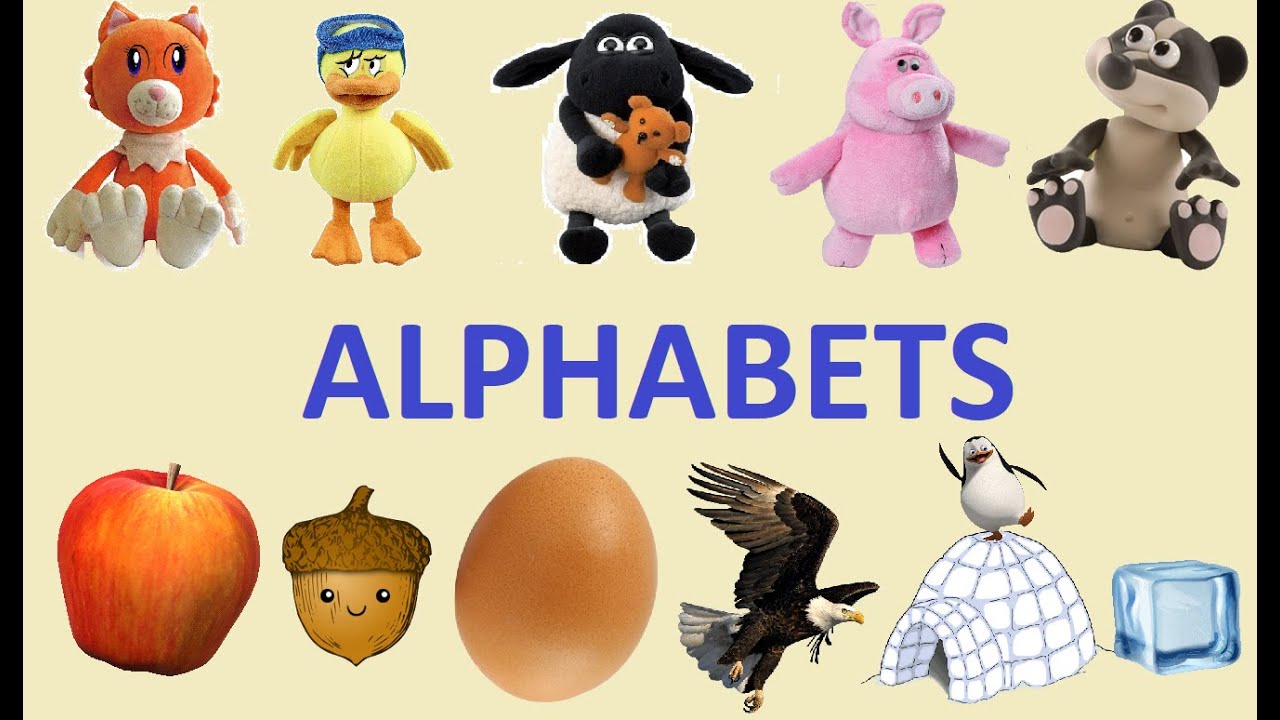 Timmy Time ALPHABETS with phonics ! - YouTube