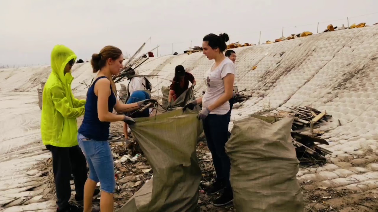 Xiamen Dadeng island Trashtag# Challenge - YouTube