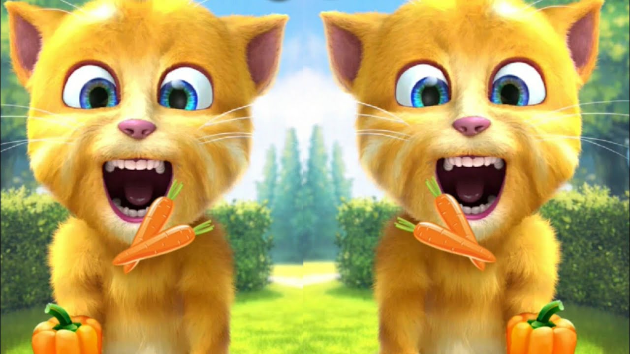 Discovering the Secrets Behind Talking Ginger's Funny Moments - YouTube