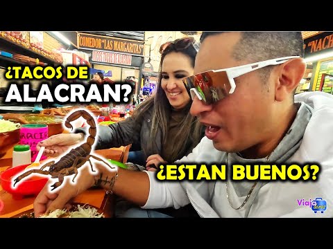 Tacos de ALACRAN | ¿Saben tan MAL? | Victoria de Durango