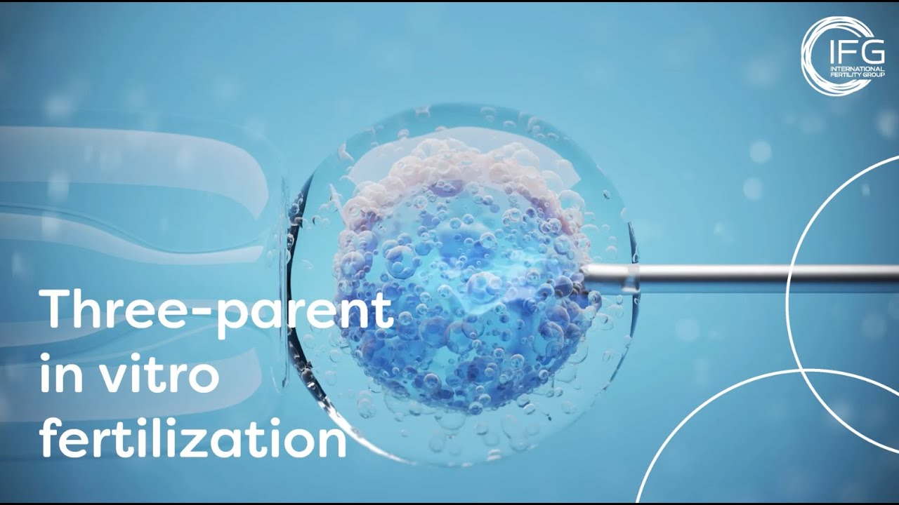 What is Three-Parent IVF? | International Fertility Group - YouTube