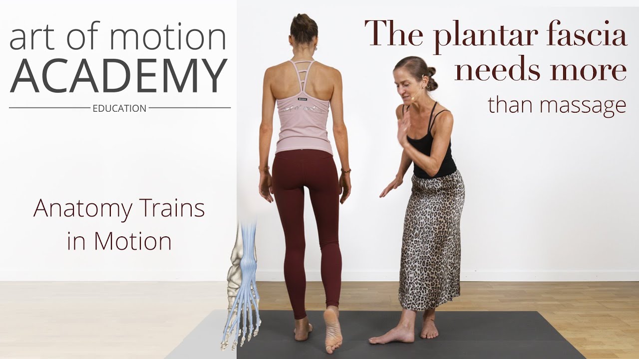 The Plantar Fascia Needs More Than Massage | Anatomy Trains in Motion ...