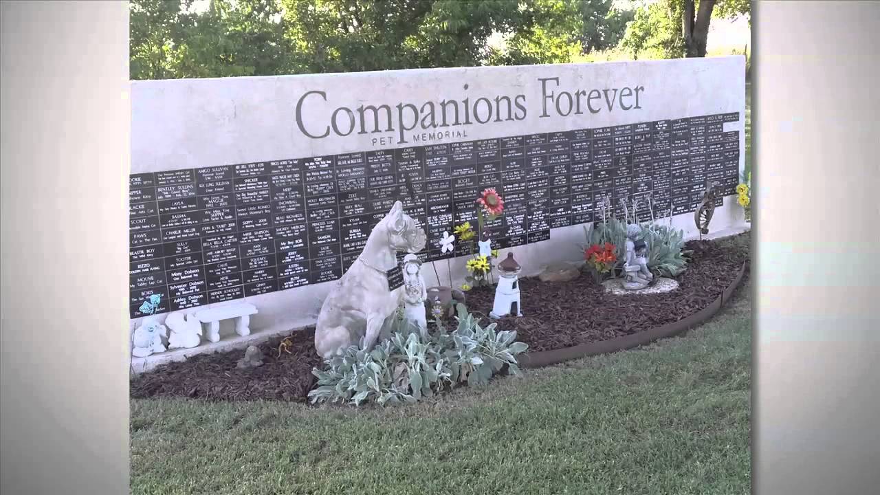 BBB TU Home Team: Companions Forever Pet Memorial (#3) - YouTube