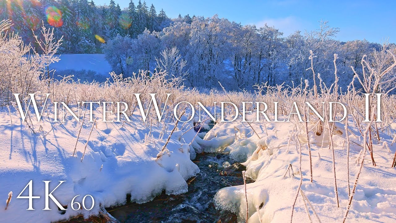 Winter Wonderland II - Peaceful Snowy Landscape, Beautiful Nature ...