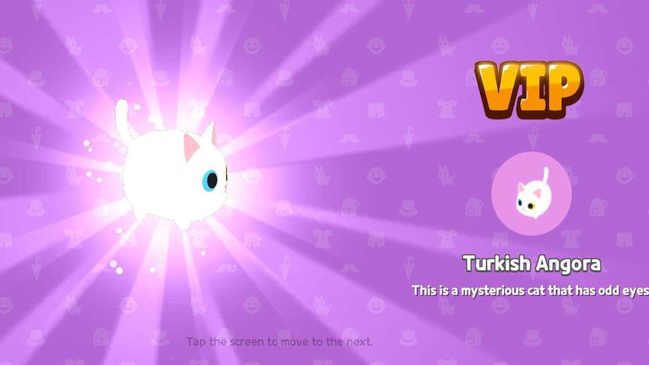 Play Together Pet: Turkish Angora Cat - YouTube