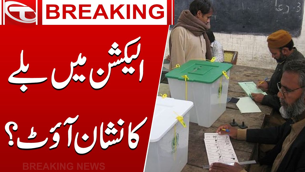 Will There Be The PTI Bat Sign In Elections? | Election 2024 | Talon ...