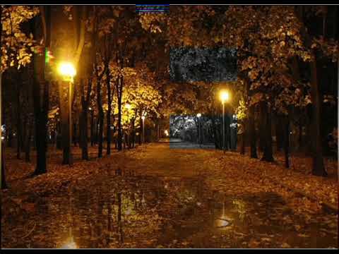 Fizuli Vaqifoğlu - Payız