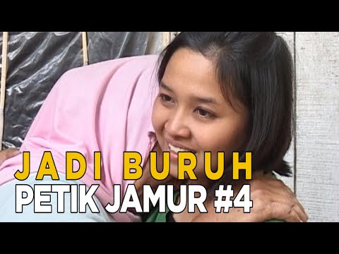 Semua rezeki ini dari Tuhan untuk ibu dan bapak | JIKA AKU MENJADI