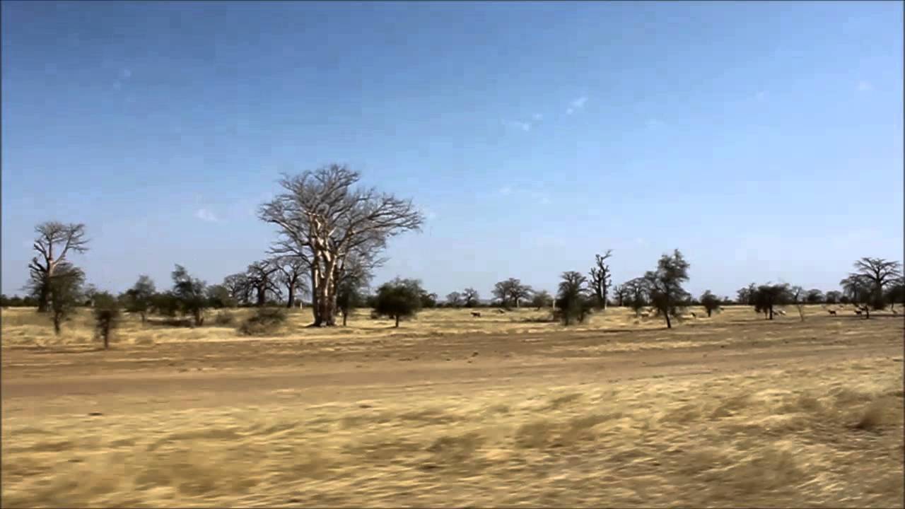 Sahel landscape north of Aourou in Toyota Landcruiser Prado KZJ95, Mali ...