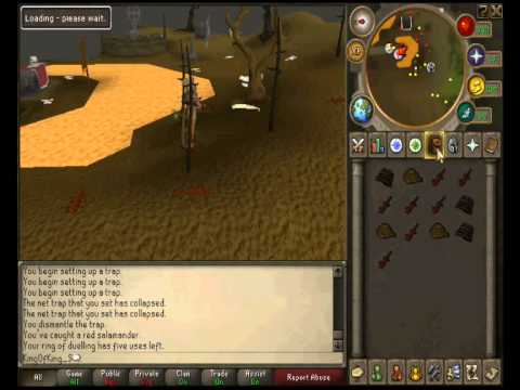 Runescape How to Catch Green/Orange/Red/Black Salamanders - YouTube