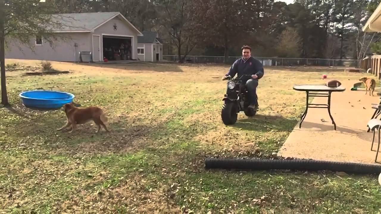 Reid on the Baja Warrior MB200 minibike - YouTube