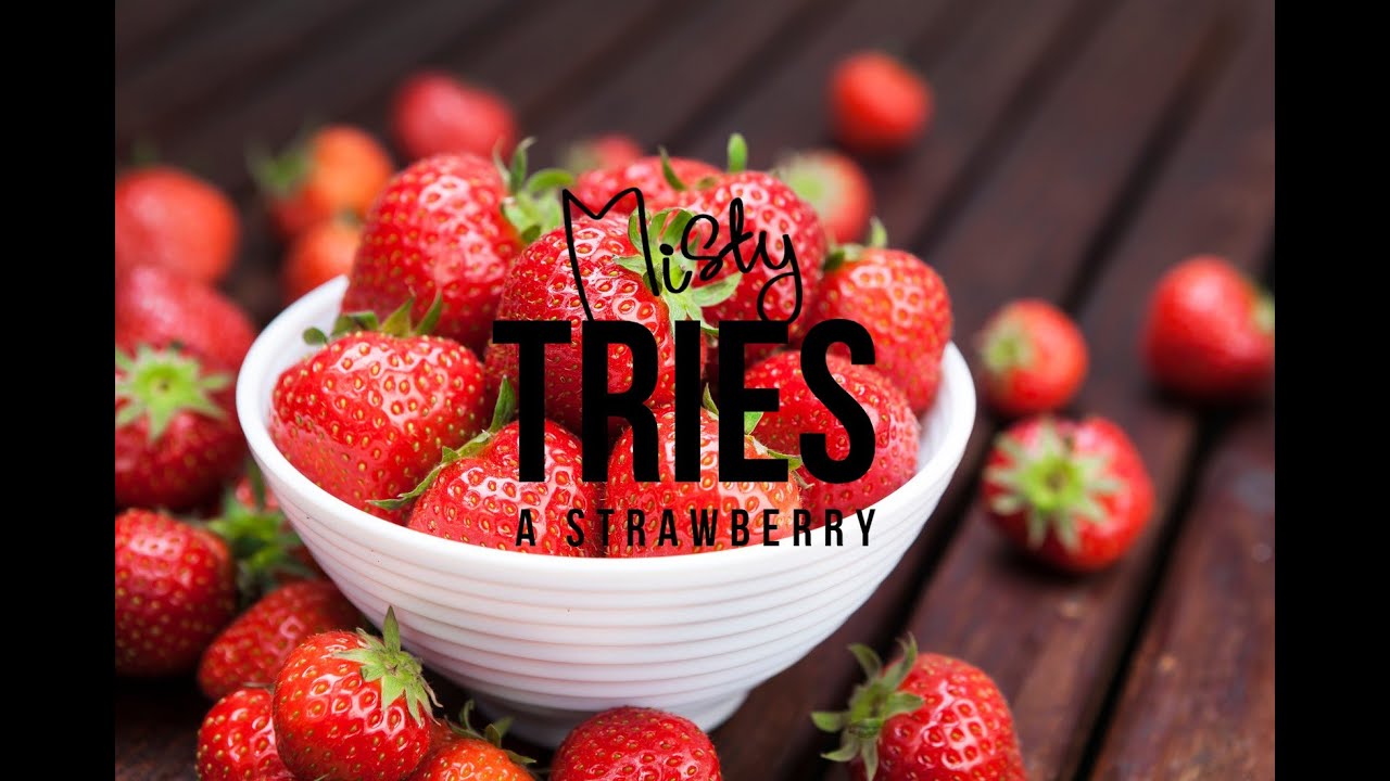 Misty tries a strawberry!! - YouTube
