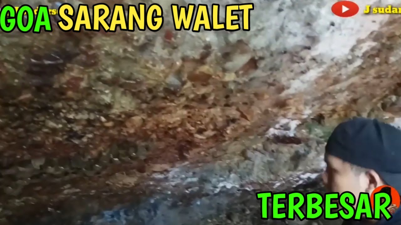 Goa sarang walet terbesar - YouTube