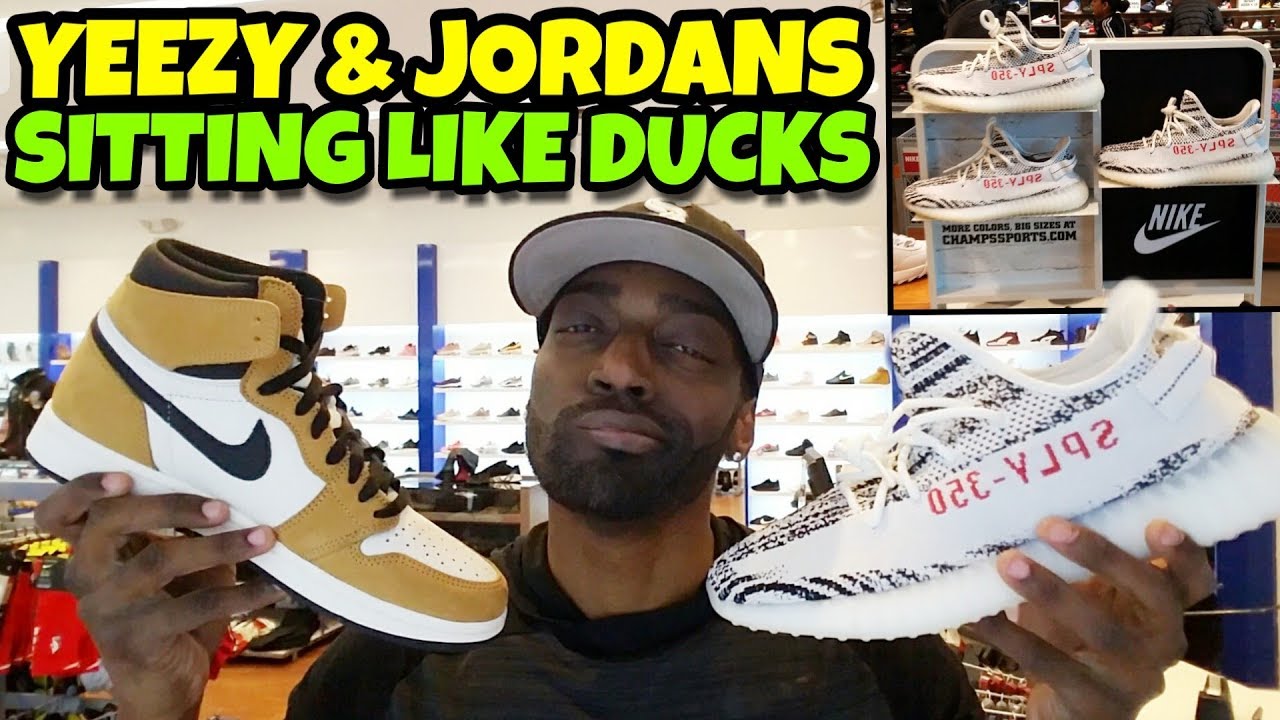Yeezy Zebras & Jordan 1 ROY Are Both Sitting Like Ducks 🐤🐥😂🤣 - YouTube
