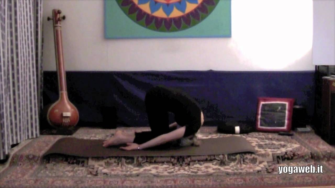 Shashasana Paripurna - YouTube
