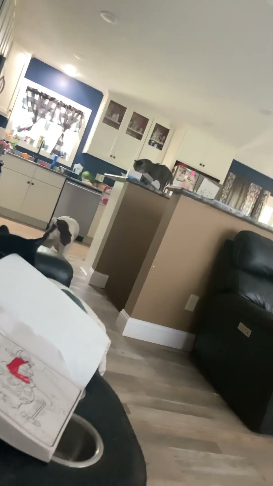 Bye pookie *devil noises* - YouTube