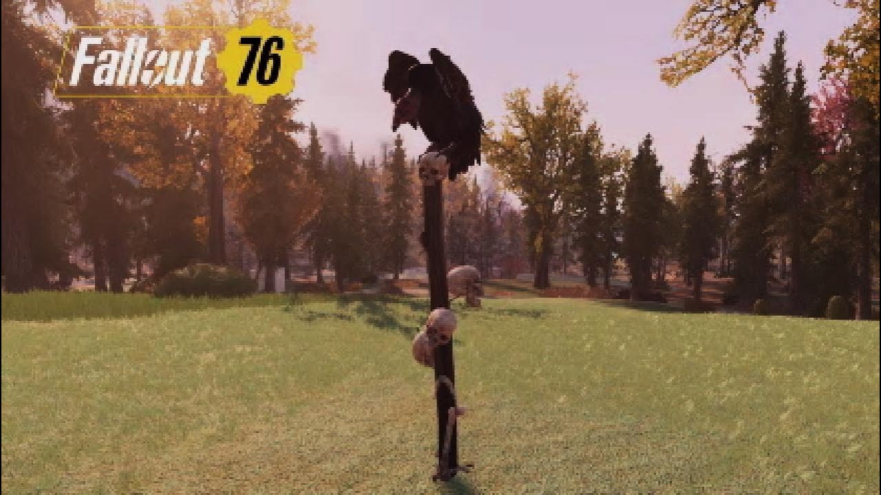 Fallout 76| Turkey Buzzard !!! - YouTube