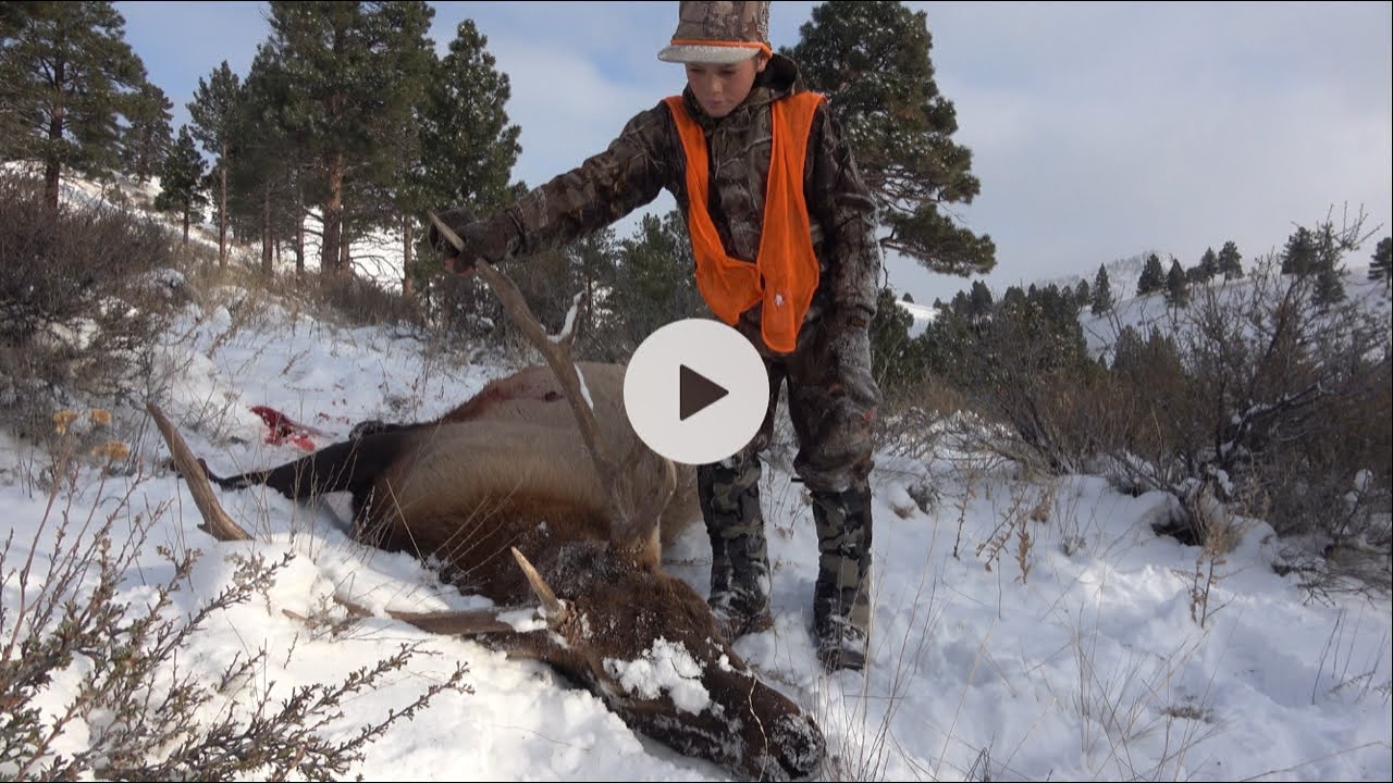 First Bull, an elk hunting adventure - YouTube