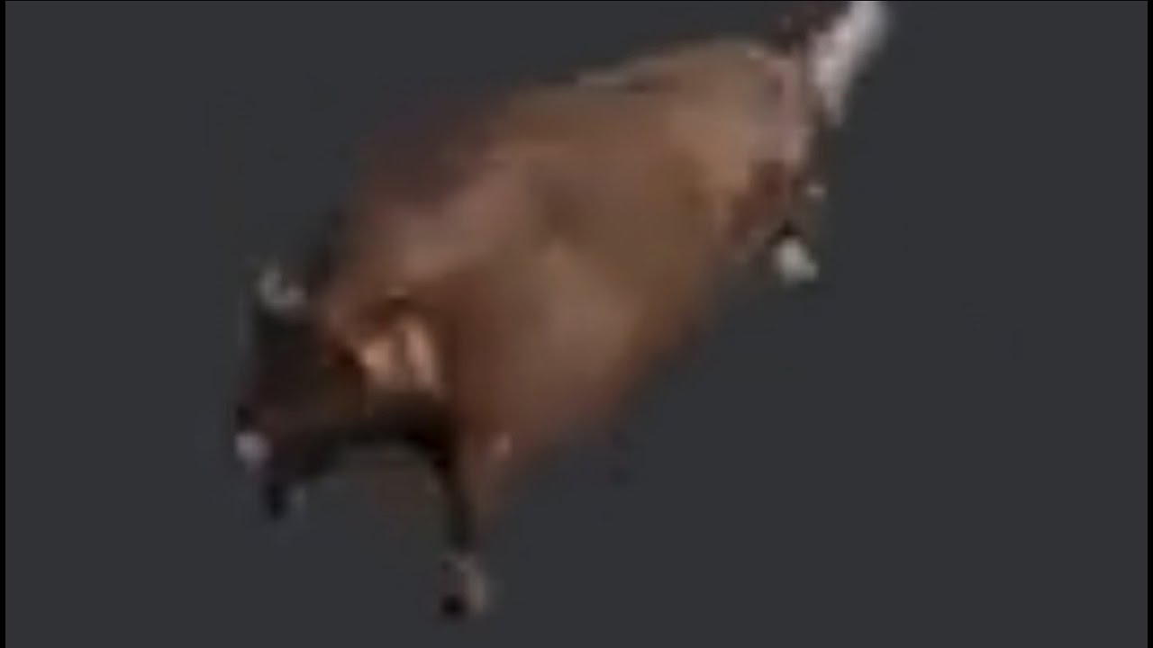 Low quality randomly directions spinning rat with epic remix - YouTube