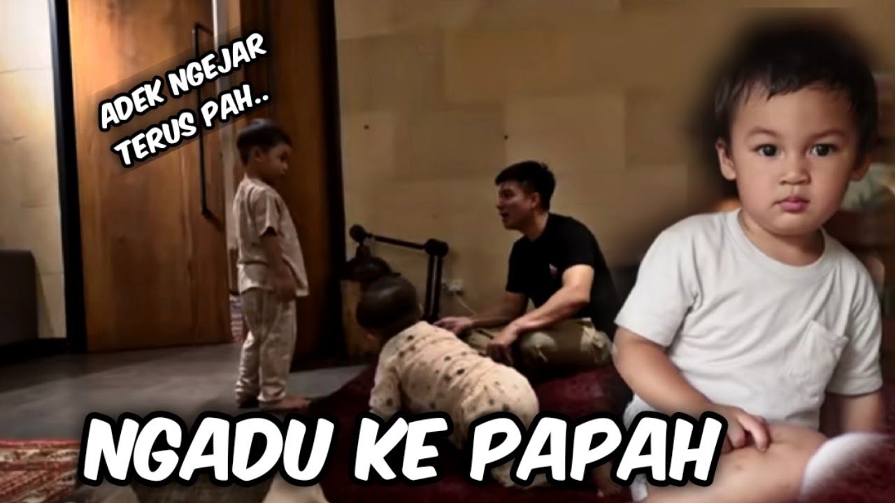 SELALU DI IKUTIN DAN DI KEJAR DEDEK HO ‼️KAKAK NGADU KE PAPAH 🤣@galerikiano - YouTube