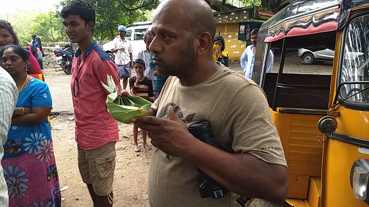 Eating Palm Fruit With Palm Water padhaneer YouTube eating-palm-fruit-with-palm-water-padhaneer-youtube