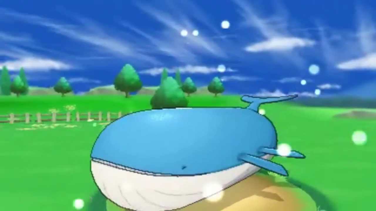 Wailord believe he can fly...♥ - YouTube