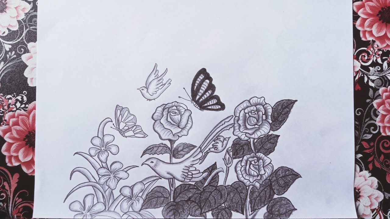 How to draw butterflies and birds drinking honey from flowers ...