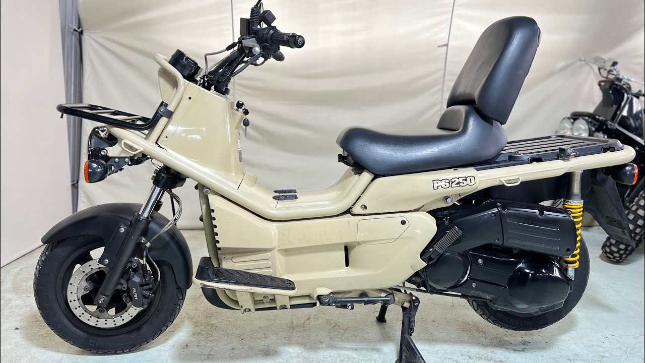Honda Ruckus PS250 マフラー付き ハーベストベージュ - YouTube