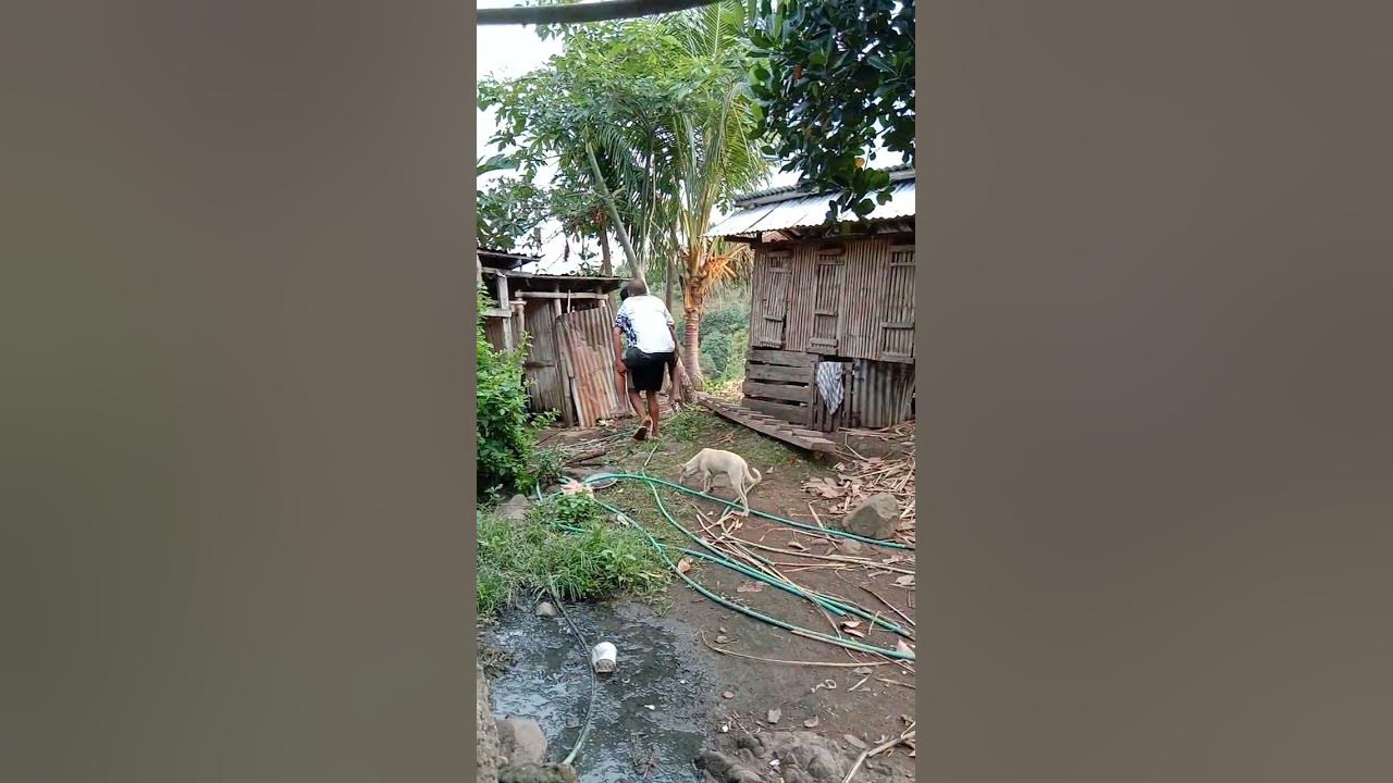 Kabukid vlog - YouTube