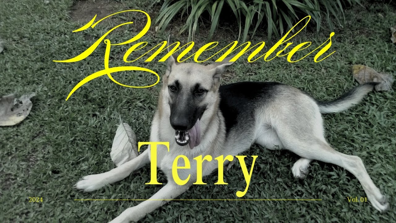 Heartfelt Tribute to Terry: Remembering Our Beloved Friend Forever ...